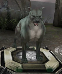 Mabari | Dragon Age Wiki | Fandom