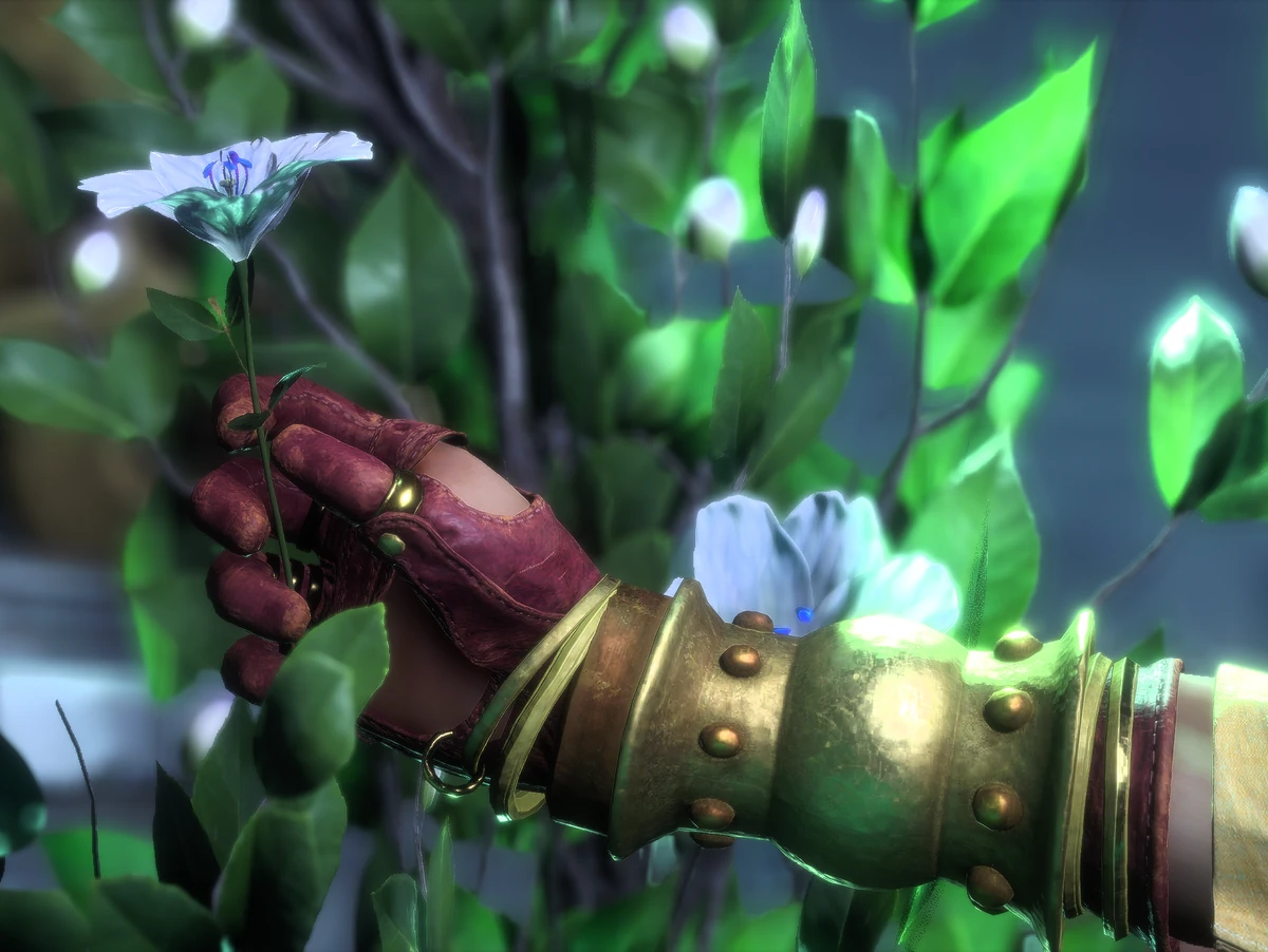 Arrangements | Dragon Age Wiki | Fandom