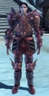 Chevalier armor set | Dragon Age Wiki | Fandom