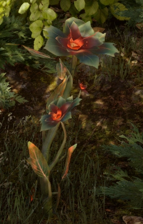 Embrium (Inquisition) | Dragon Age Wiki | Fandom