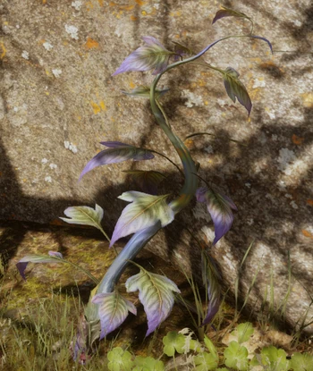 Royal Elfroot | Dragon Age Wiki | Fandom