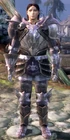 Chevalier armor set | Dragon Age Wiki | Fandom