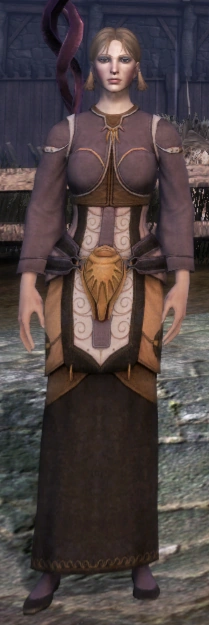 Lorekeeper's Robe | Dragon Age Wiki | Fandom