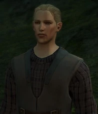 Medio elfo | Dragon Age Wiki | Fandom