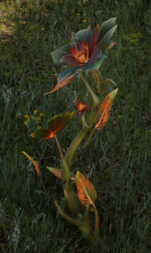 Embrium | Dragon Age Wiki | Fandom