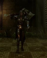 Sentinel elves | Dragon Age Wiki | Fandom