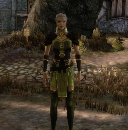 Tevinter Enchanter's Robes | Dragon Age Wiki | Fandom