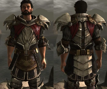 Superior Plate Armor | Dragon Age Wiki | Fandom