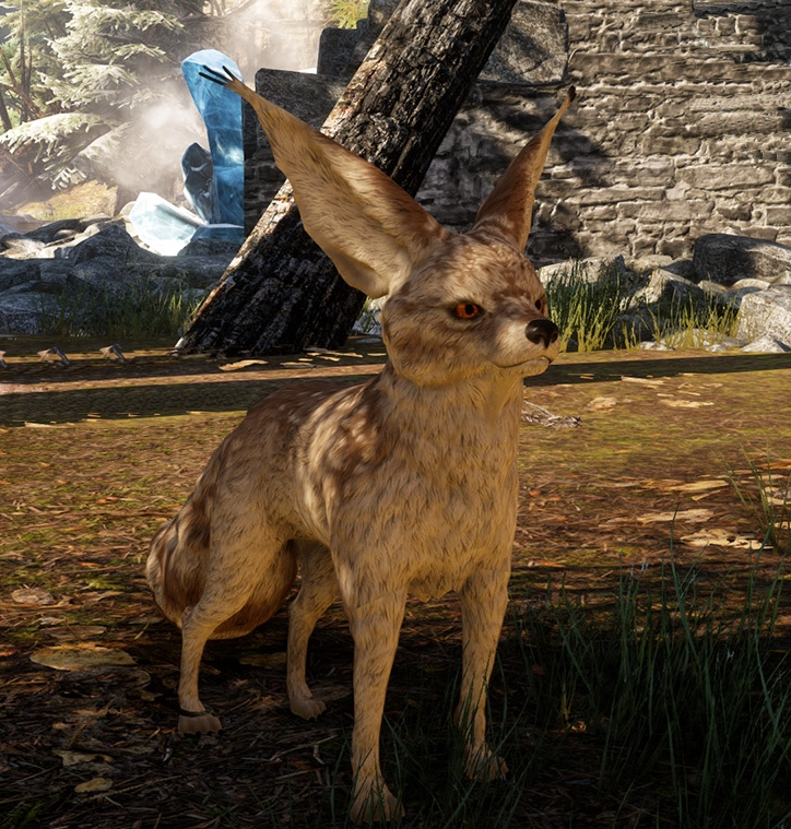 Fenek | Dragon Age Wiki | Fandom Fenek | Dragon Age Wiki | Fandom