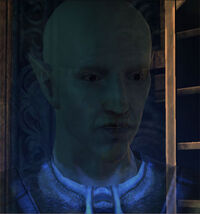 Elf | Dragon Age Wiki | Fandom