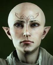 Ghilan'nain | Dragon Age Wiki | Fandom