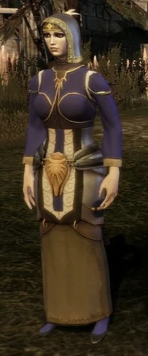 Warden Apprentice Robes | Dragon Age Wiki | Fandom