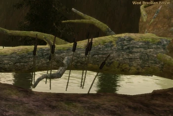 Rare Ironbark | Dragon Age Wiki | Fandom