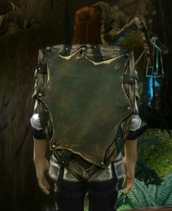 Swiftrunner's Shield | Dragon Age Wiki | Fandom