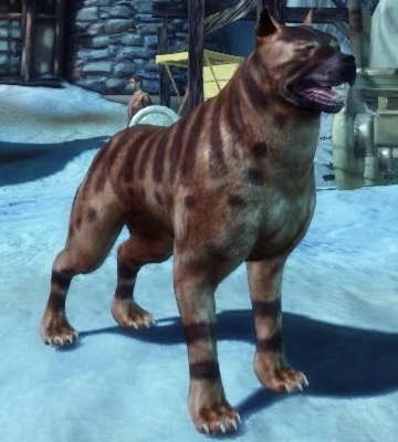 Swiftrunner Warpaint | Dragon Age Wiki | Fandom