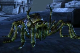 Spider | Dragon Age Wiki | Fandom