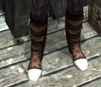 The Long Trek | Dragon Age Wiki | Fandom