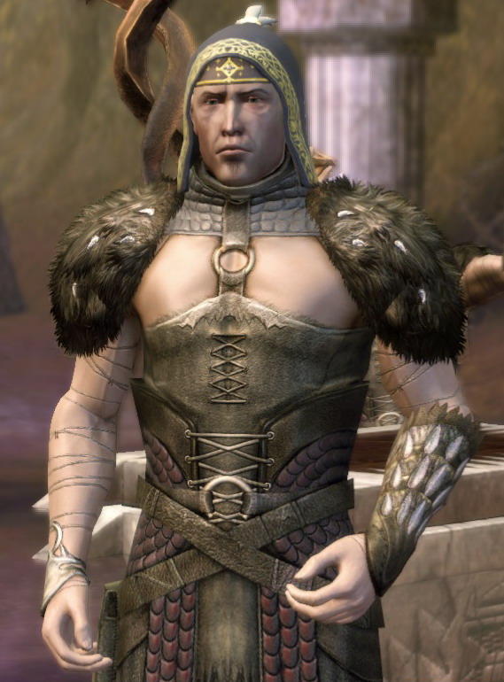 Убийца брата твоего Dragon Age Wiki Fandom