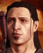 Companions (Origins) | Dragon Age Wiki | Fandom