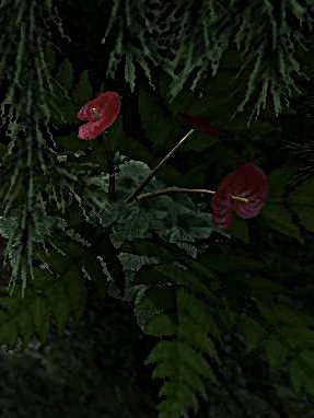 Embrium | Dragon Age Wiki | Fandom