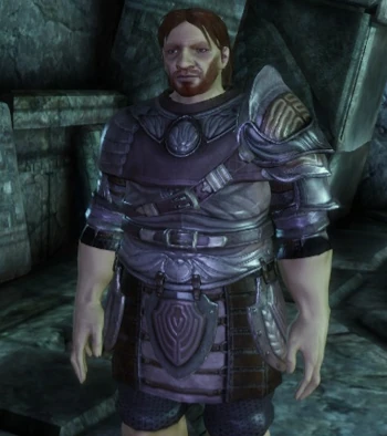 Dace Family Armor | Dragon Age Wiki | Fandom