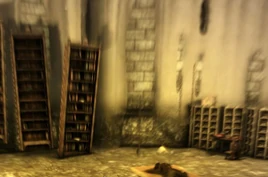 Templar's Nightmare | Dragon Age Wiki | Fandom