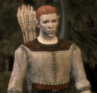 Pol | Dragon Age Wiki | Fandom