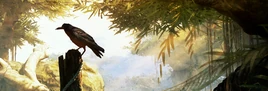 Evading the Crows | Dragon Age Wiki | Fandom
