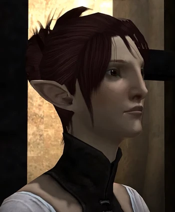 Jan | Dragon Age Wiki | Fandom