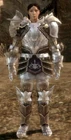 Chevalier armor set | Dragon Age Wiki | Fandom