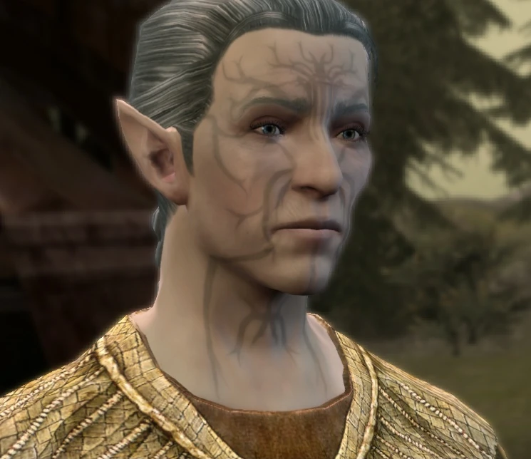 Ilen | Dragon Age Wiki | Fandom