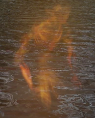 Wraith | Dragon Age Wiki | Fandom