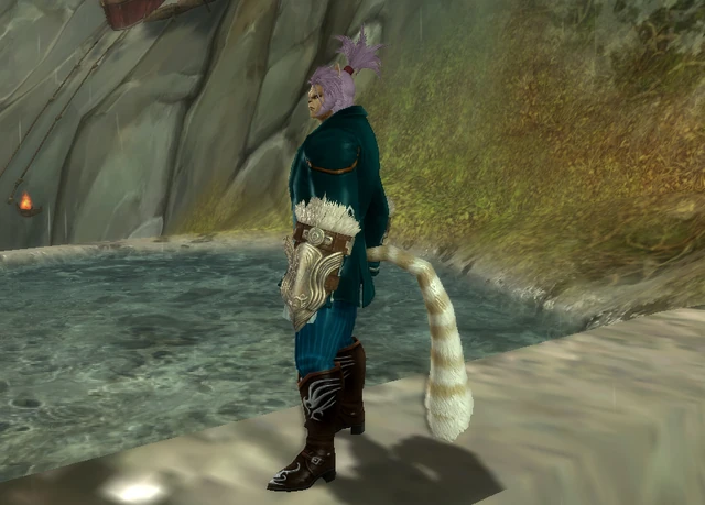 Shaman Weapon Series | Dragona Online Wiki | Fandom