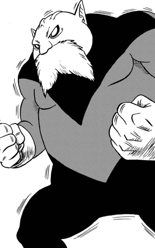 Toppo | Dragonball English Manga Wiki | Fandom