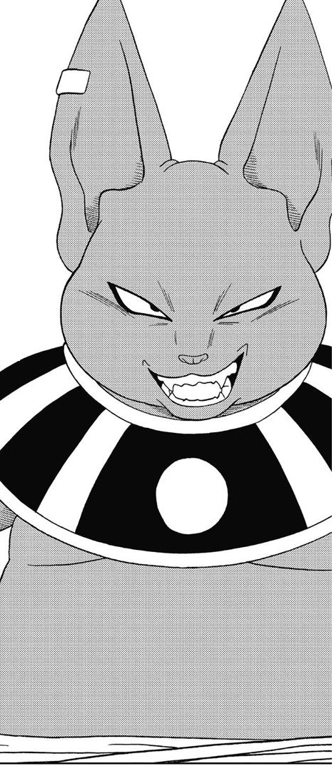 Champa | Dragonball English Manga Wiki | Fandom