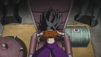 Caulifla | Dragon Ball World Wiki | Fandom