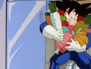 Radish | Dragon Ball Wiki | Fandom