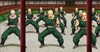Tien-Shin Style Dojo | Dragon Ball Wiki | Fandom