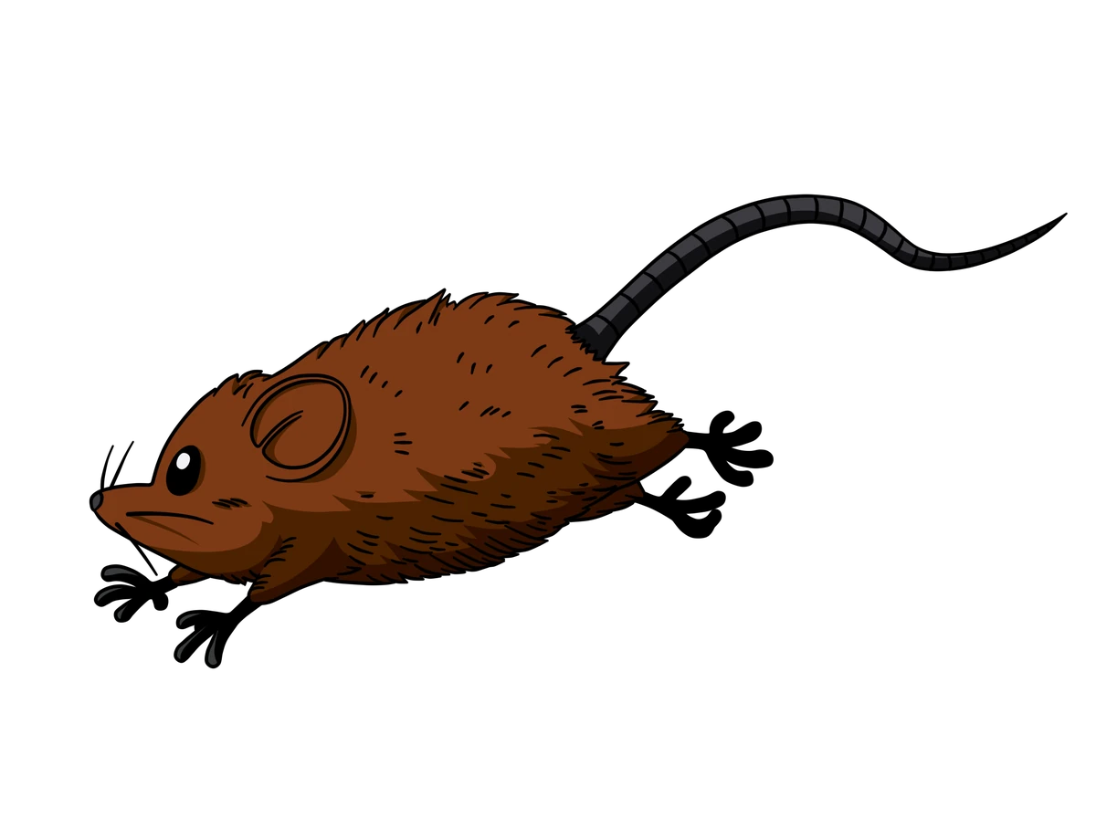 Mousey | Dragon Ball Wiki Hispano | Fandom