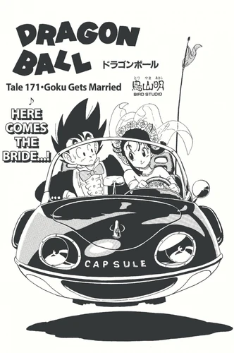 Goku Gets Married! | Dragon Ball Wiki | Fandom