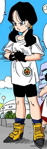 Videl | Dragon Ball Wiki | Fandom