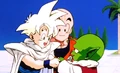 Dende's Dragon | Dragon Ball Wiki | Fandom