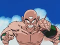 Final Match: Goku vs. Tien | Dragon Ball Wiki | Fandom