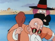 Master Roshi/Biography | Dragon Ball Wiki | Fandom