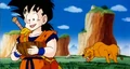 Goz and Mez | Dragon Ball Wiki | Fandom