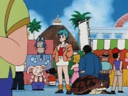 Bulma/Biography | Dragon Ball Wiki | Fandom