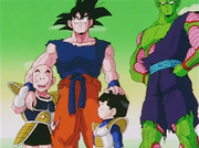 Z Fighters | Dragon Ball Wiki | Fandom