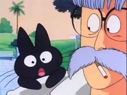 Tama | Wiki Dragon Ball | Fandom