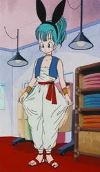 Bulma | Dragon Ball Wiki | Fandom