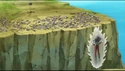Tagoma | Dragon Ball Wiki | Fandom